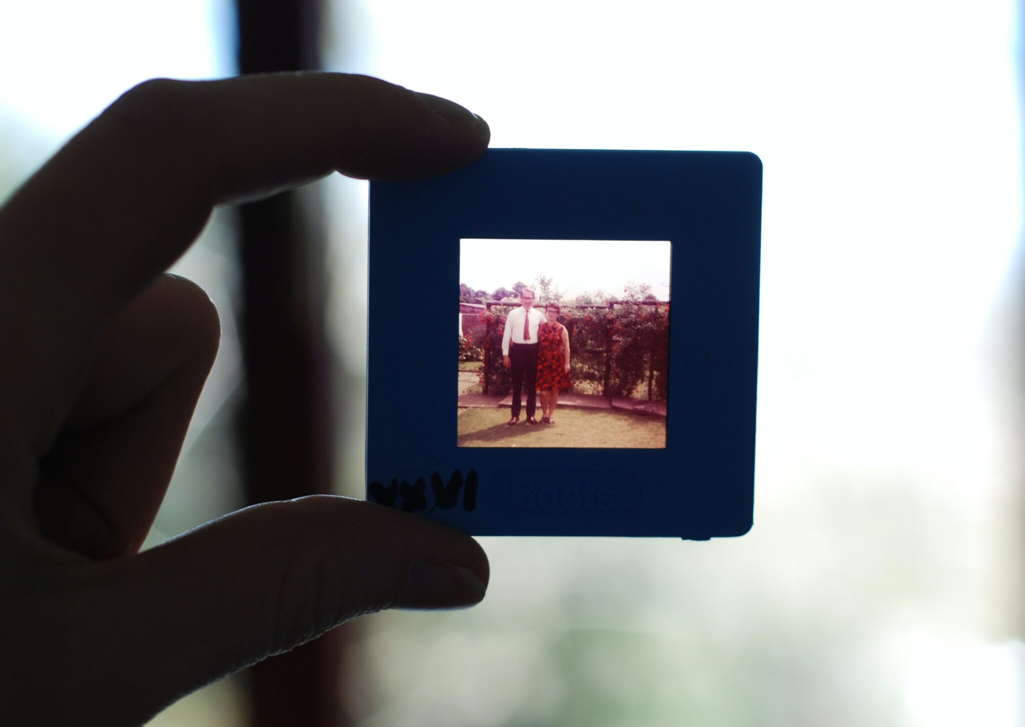 Fotos & Dias digitalisieren leicht gemacht: So geht´s!