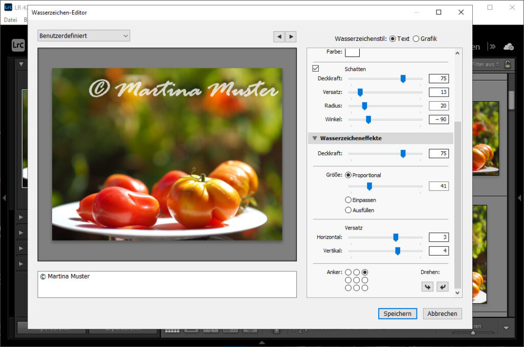 Wasserzeichen erstellen & Fotos schützen